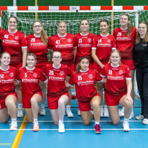 Wijhe '92 | Voetbal, Handbal en Volleybal vereniging