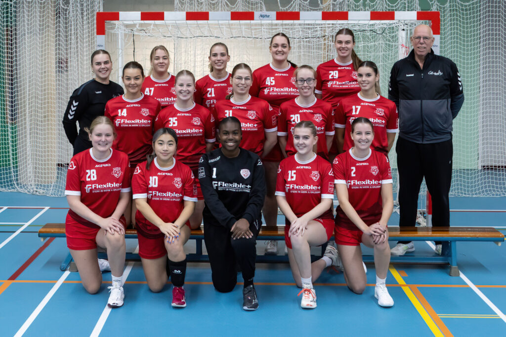 Teamindeling Handbal 2024-2025 - Wijhe'92